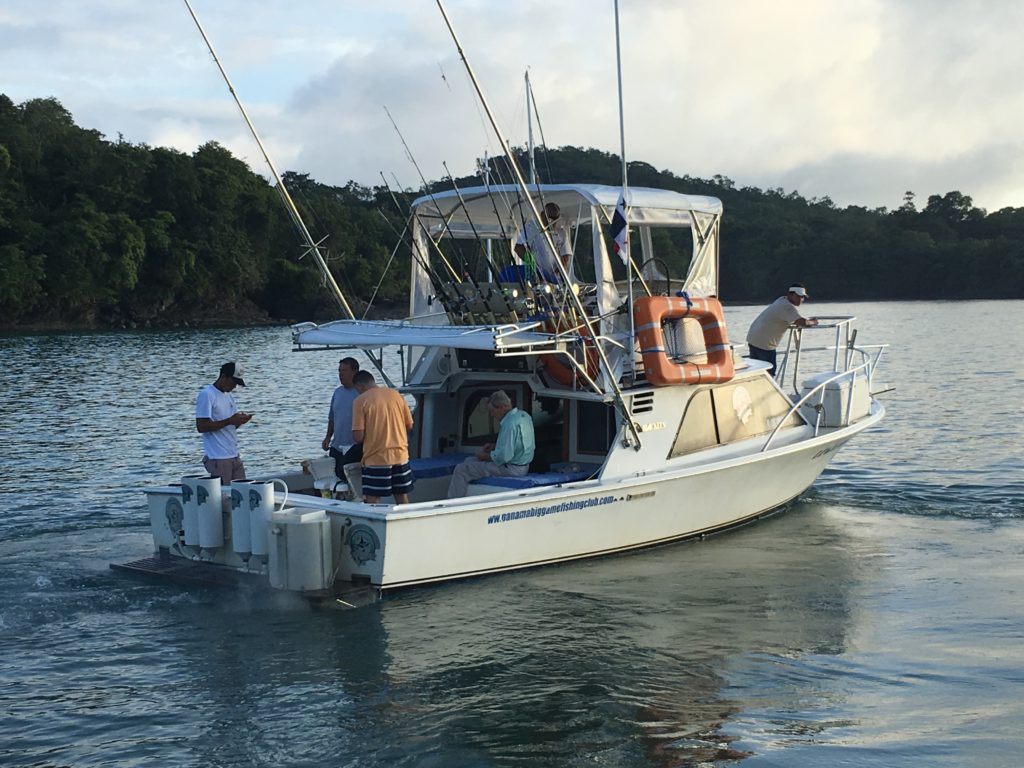 A Guide | Different Types of Fish in Panama