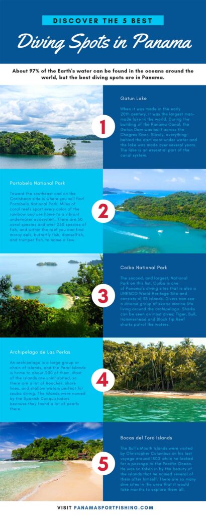 Discover the 5 Best Diving Spots in Panama