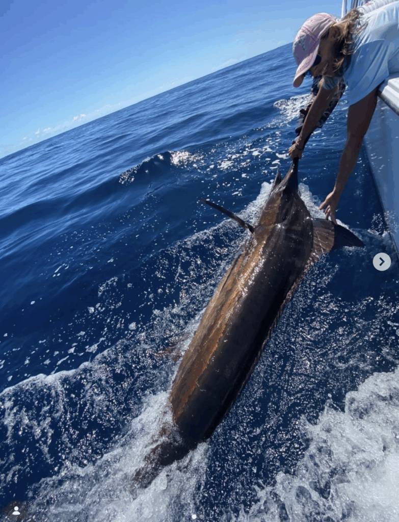The Different Species of Marlin and Where to Find Them